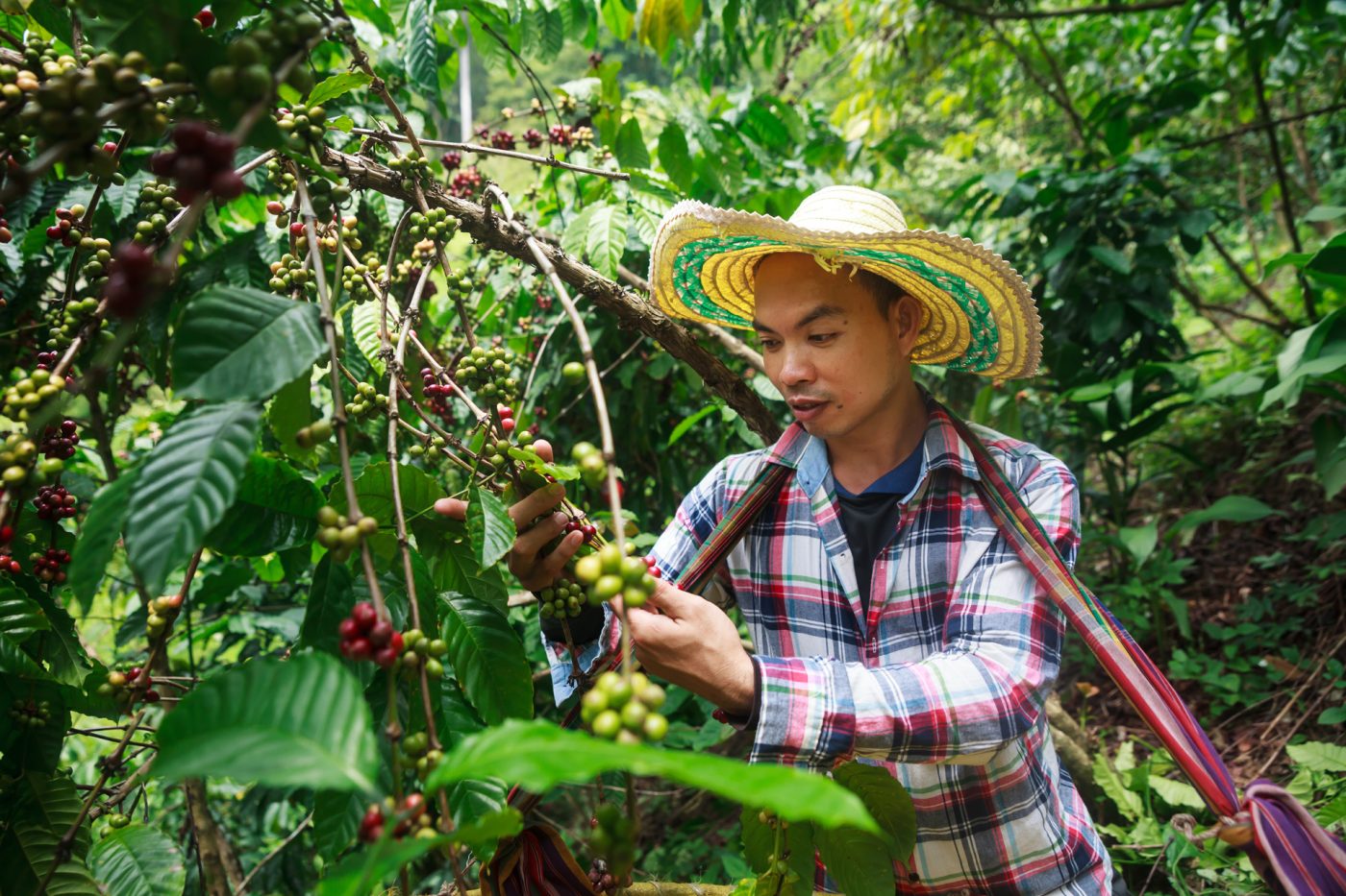UCC Europe - The Total Coffee Solution